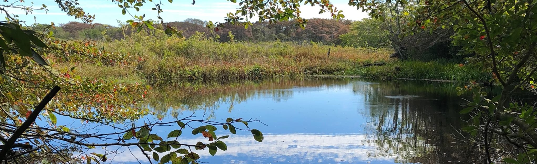 Stump Pond Loop, Massachusetts - 82 Reviews, Map | AllTrails