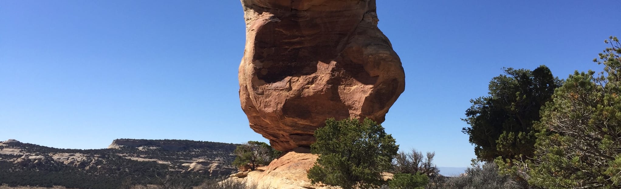 Miracle Rock Trail - Colorado | AllTrails