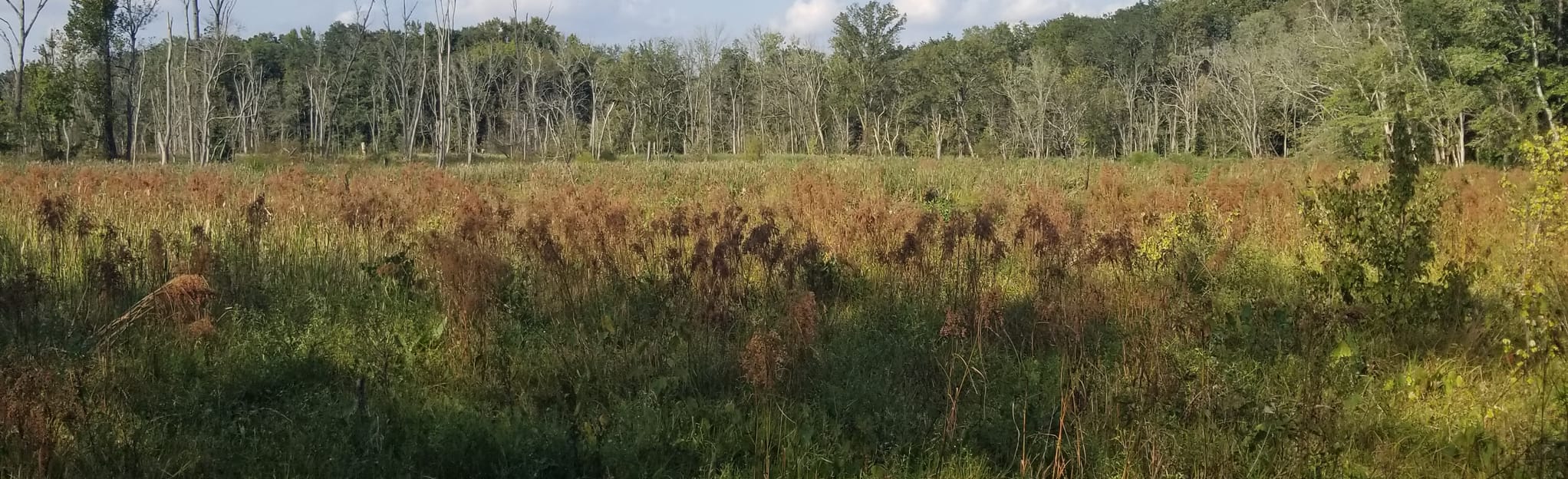 AllTrails | Lake Conestee Nature Park Loop: 1083 Reviews, Map - South ...