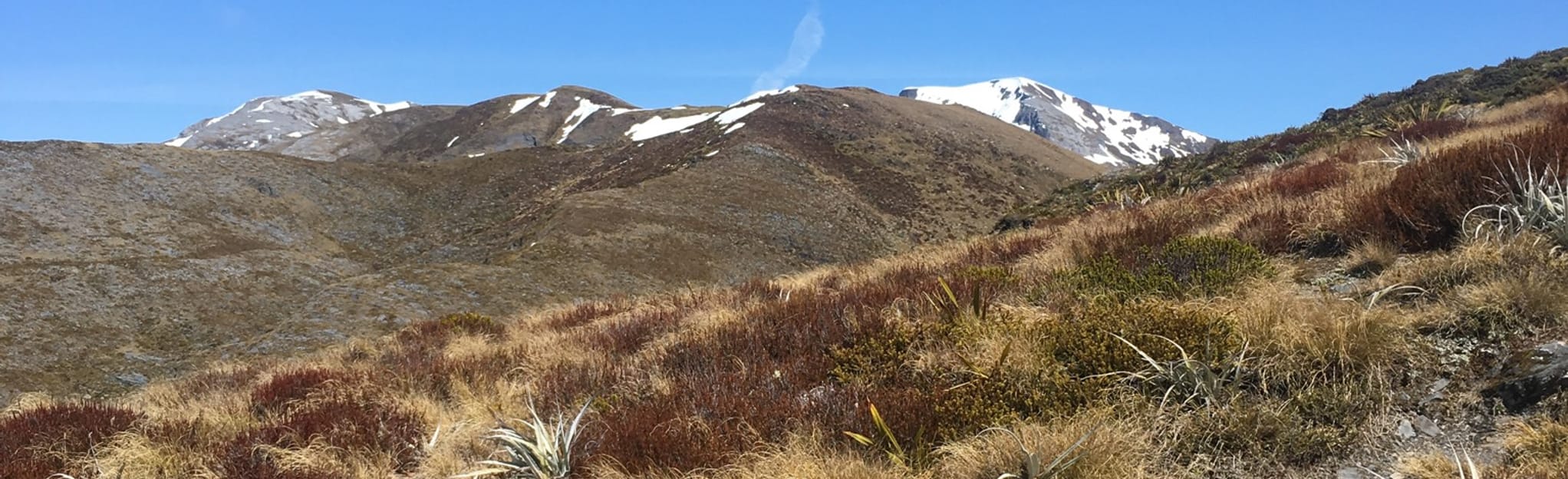 Flora Hut and Mount Arthur Hut Tracks: 19 Reviews, Map - Nelson-Tasman ...