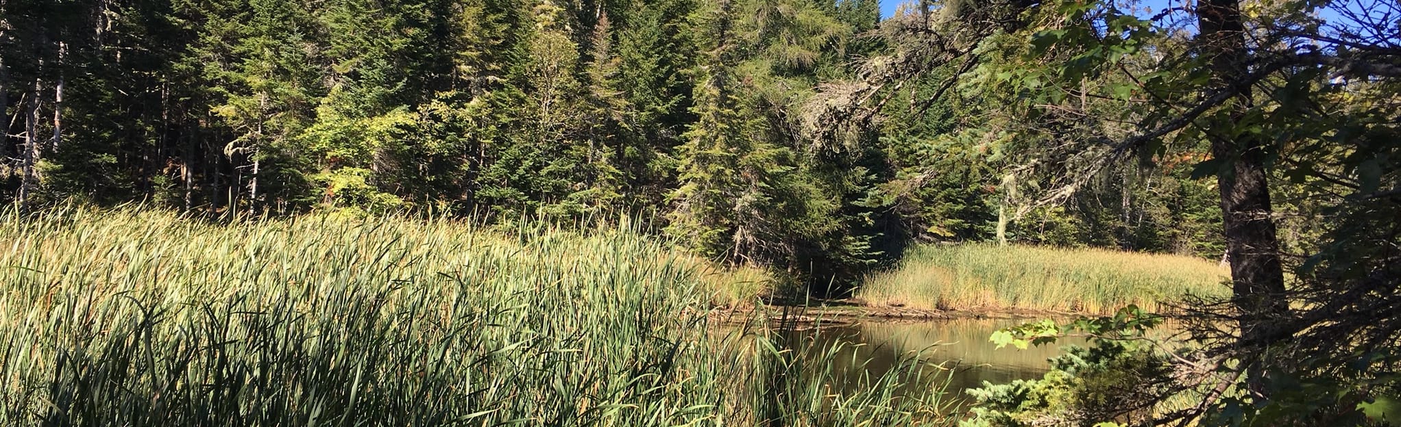 Winter River Extended Loop: 159 Reviews, Map - Prince Edward Island ...