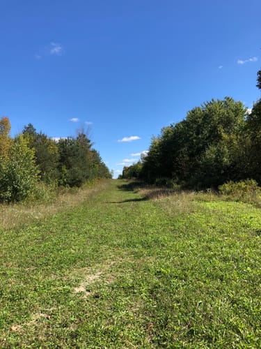 2023 Best trails in Darien Lakes State Park | AllTrails