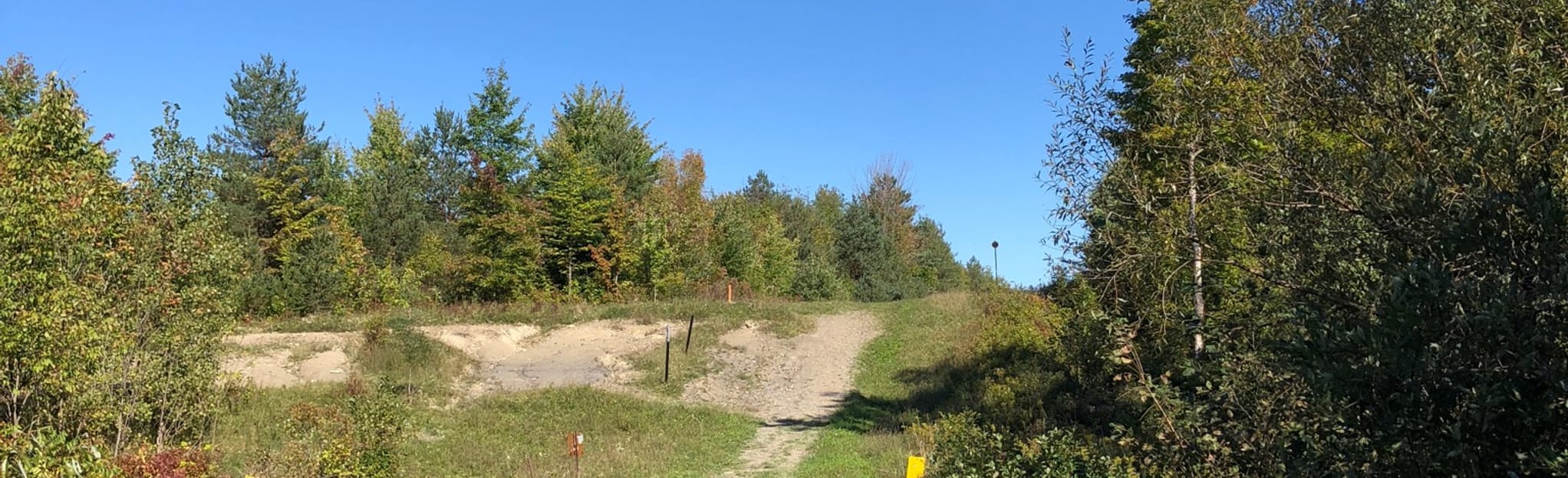 Darien Lake Loop, New York - 196 Reviews, Map | AllTrails