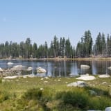 White Wolf to Pate Valley Trail, California - 29 Reviews, Map | AllTrails