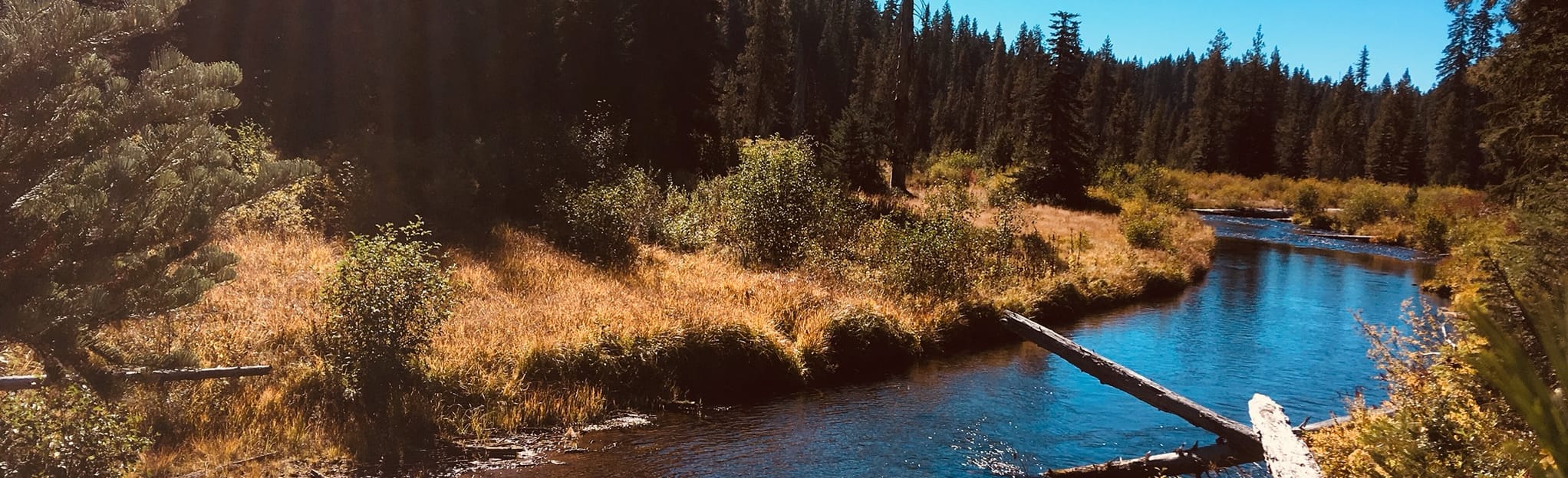 Muir Creek Falls via Muir Camp: 16 Reviews, Map - Oregon | AllTrails