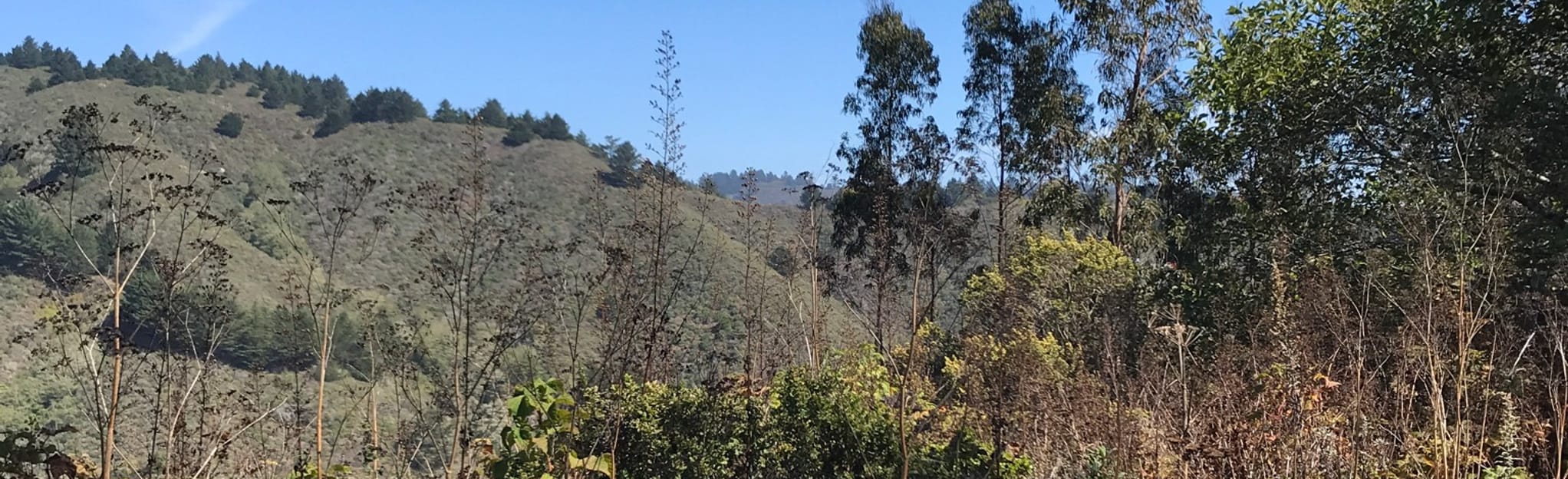 South Ridge, Middle Ridge, and Meadow Trail Loop, California - 689 ...