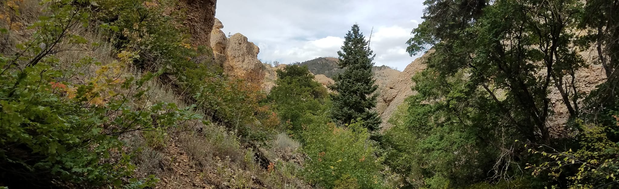 Maple Canyon Left Fork: 19 Reviews, Map - Utah | AllTrails