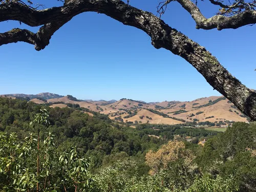 Best Hikes and Trails in Indian Tree Open Space Preserve | AllTrails