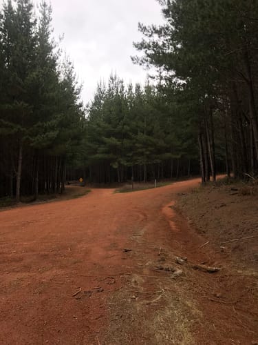 Best 10 Hikes and Trails in Lane Poole Reserve | AllTrails
