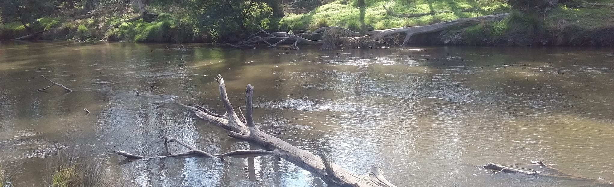 Yarra River: Pound Bend to Warrandyte Bridge - Victoria, Australia ...