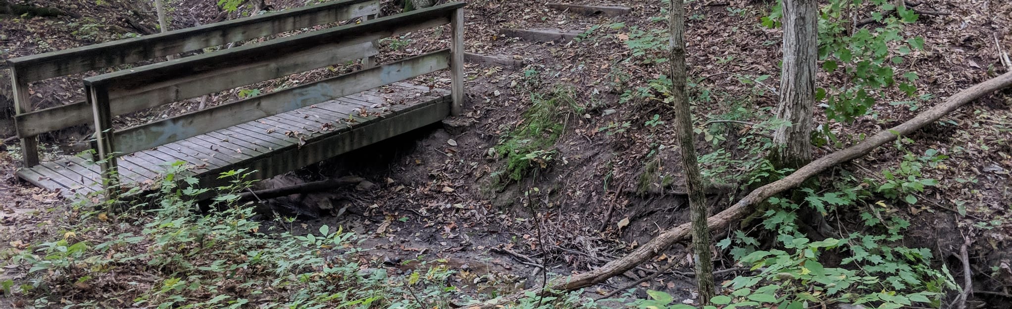 Metea Park North Loop, Indiana - 430 Reviews, Map | AllTrails