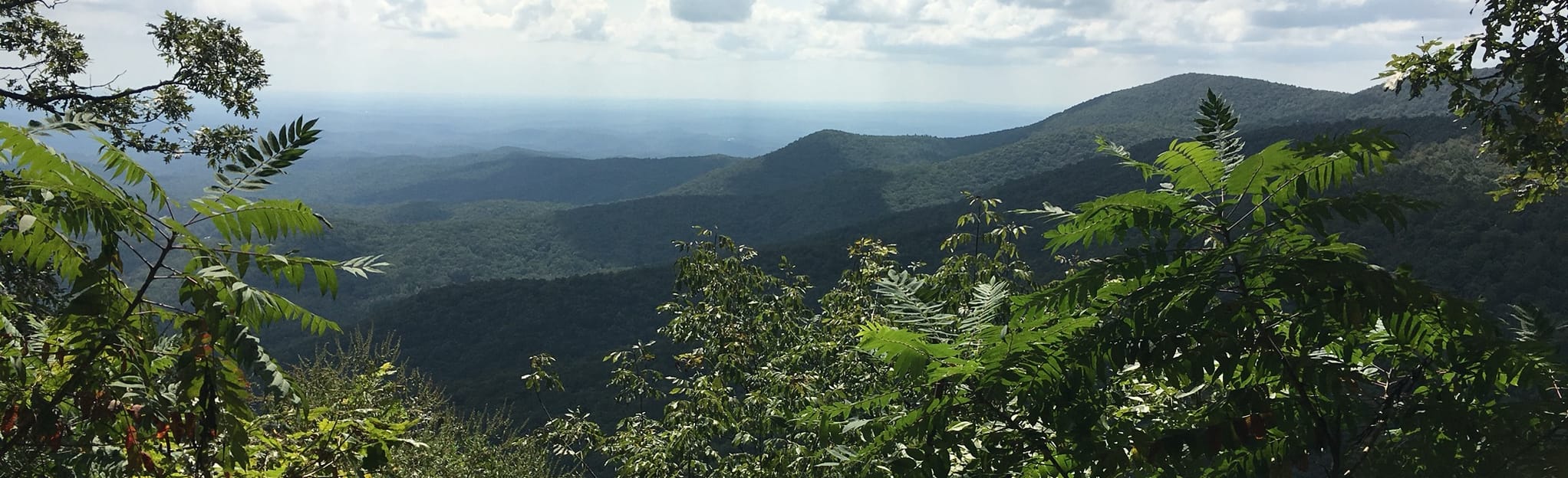 Appalachian Trail: Woody Gap to Gooch Gap , Georgia - 630 Reviews, Map ...