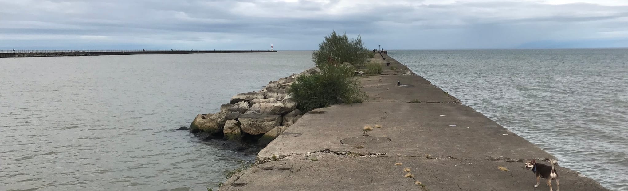 Summerville Pier - New York | AllTrails