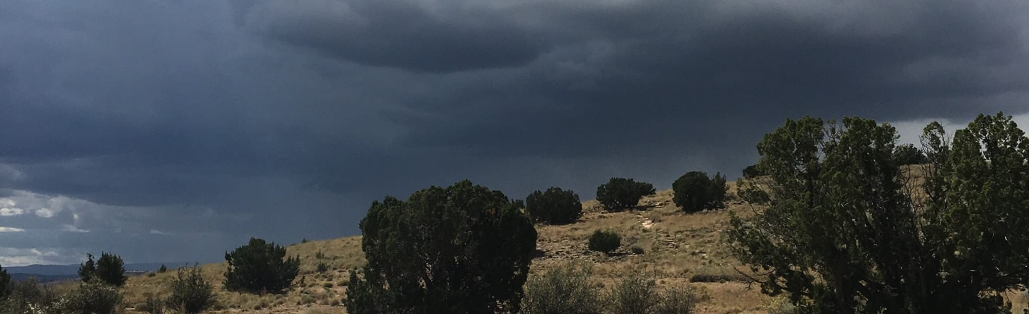 Buffalo Trail: 50 fotos - Arizona | AllTrails