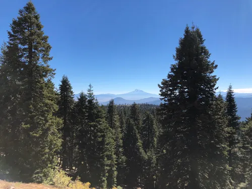 10 Best Hikes and Trails in Klamath National Forest | AllTrails