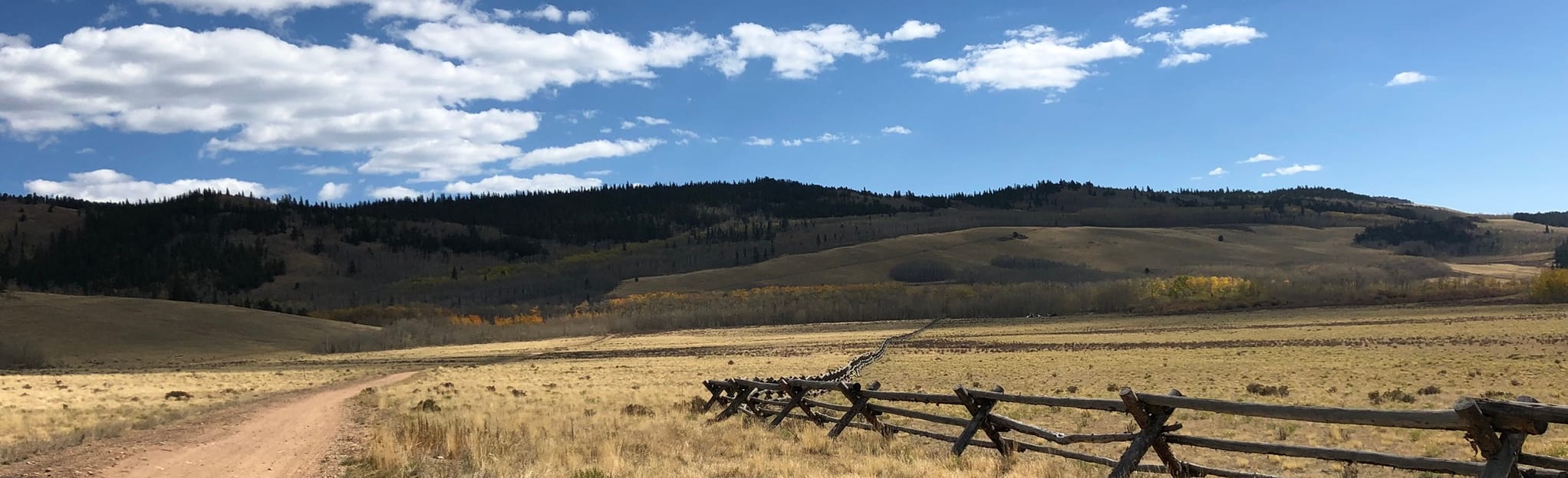 Jefferson Lake OHV Trail, Colorado - 7 Reviews, Map | AllTrails
