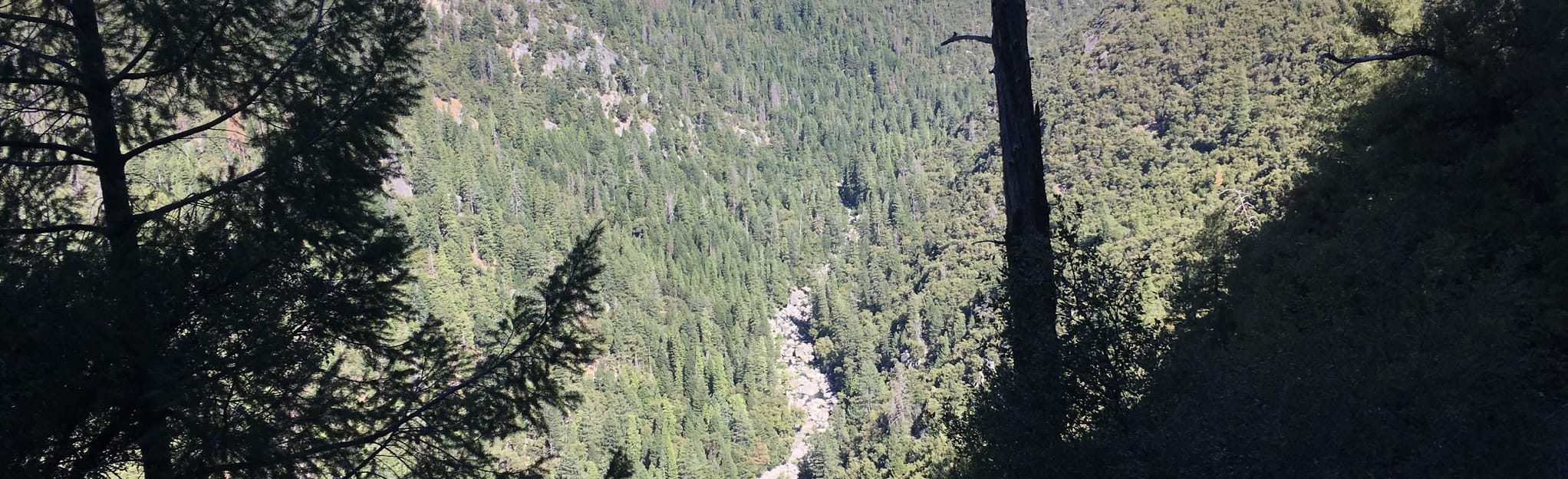 4,700-Foot Road, California - 10 Reviews, Map | AllTrails