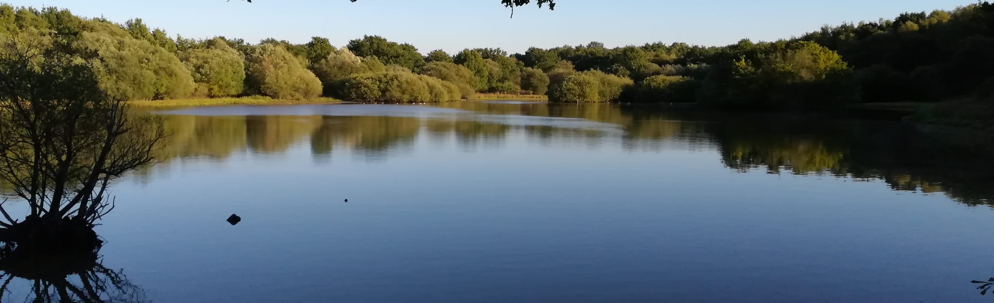 Ashtead and Epsom Common Circular, Surrey, England - 59 Reviews, Map ...