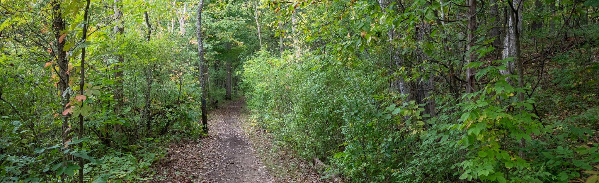 Waterloo Pinckney and Oak Wood Loop, Michigan - 150 Reviews, Map ...