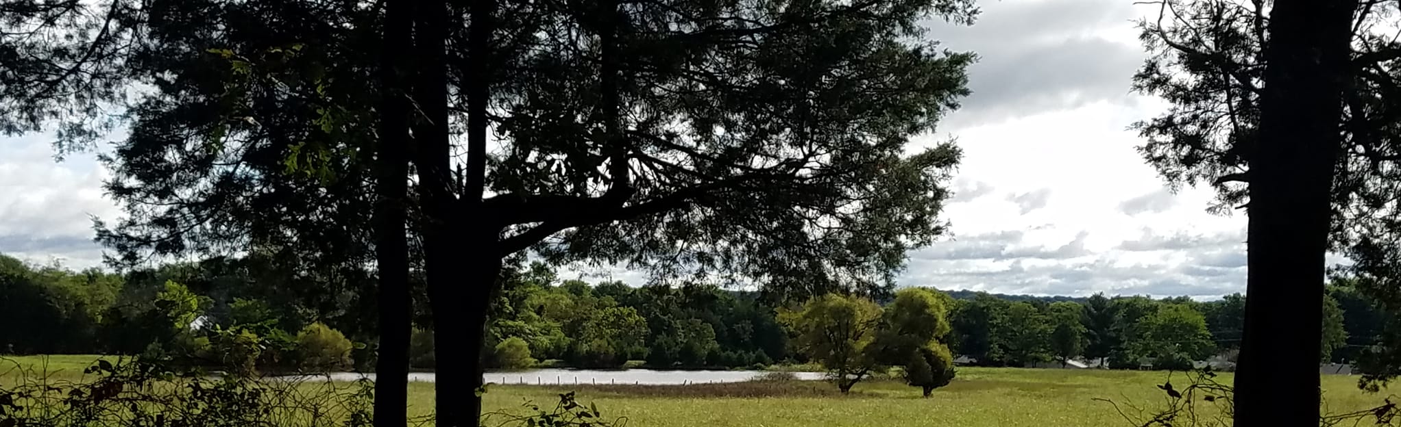 The Scout Trail (Blue Trail) : 722 Reviews, Map - Virginia | AllTrails