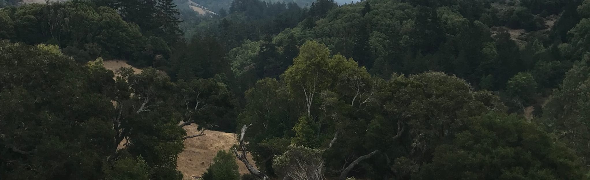 Jewell Trail, California - 52 Reviews, Map | AllTrails