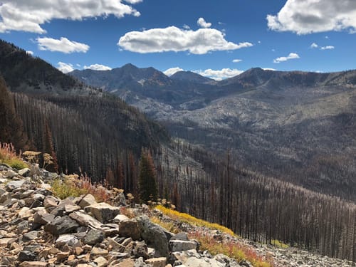 Best 10 Hikes and Trails in Anaconda Pintler Wilderness | AllTrails