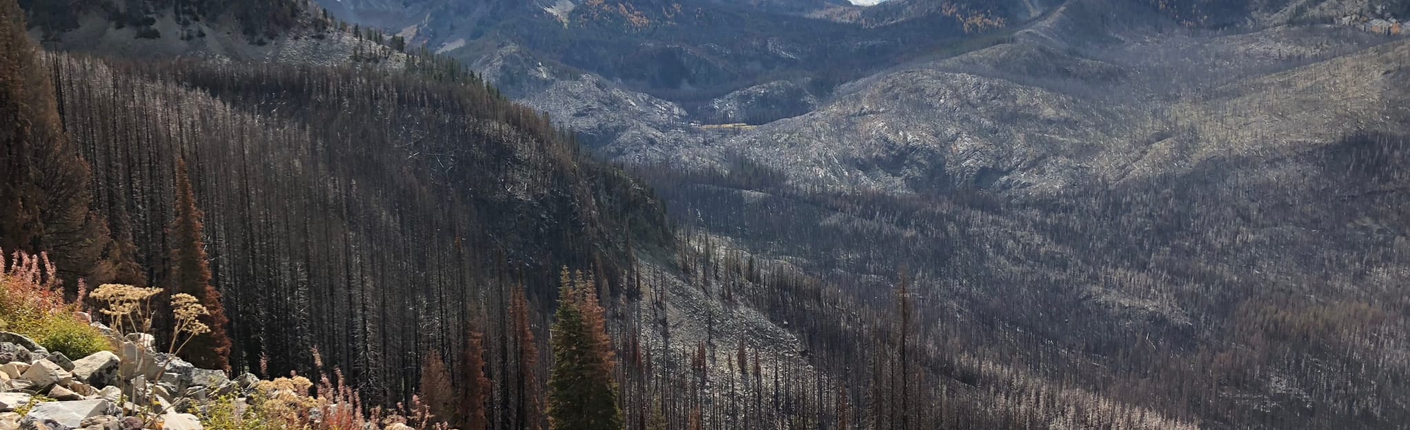 Edith Lake Trail: 22 Reviews, Map - Montana | AllTrails