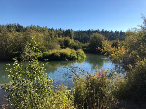 10 Best Trails and Hikes in Spokane | AllTrails