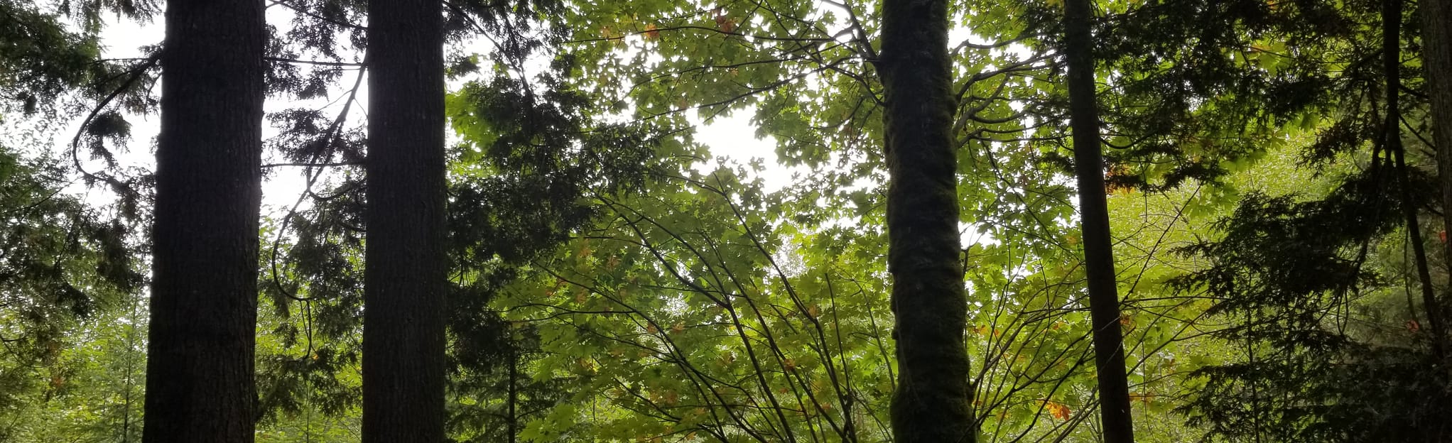 Erskine, Bear Ridge, and Lyns Lane Loop, British Columbia, Canada - 48 ...