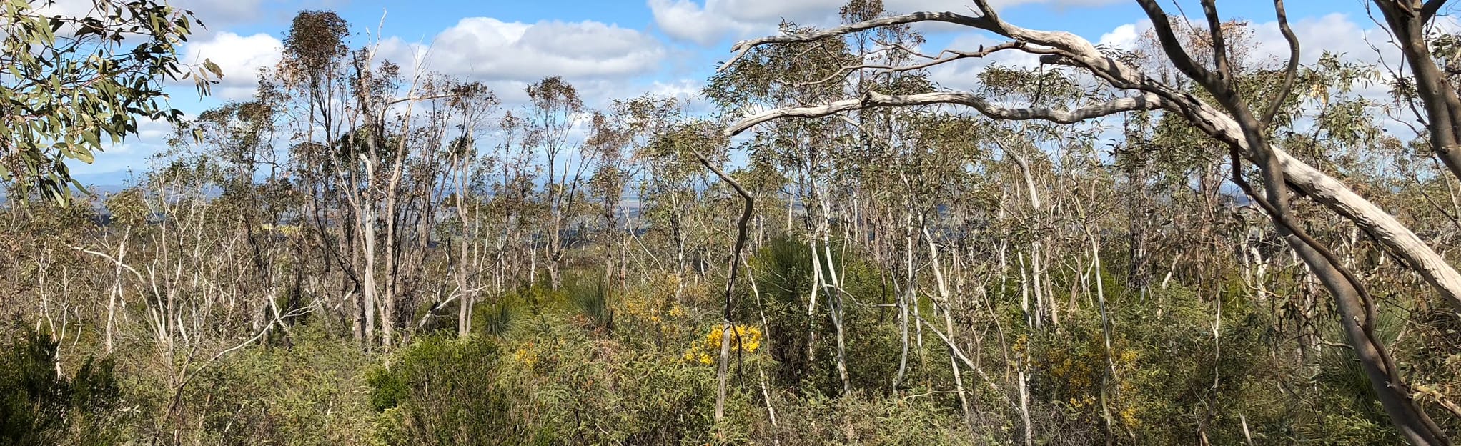 Salisbury Falls and Wenhams Camp | Map, Guide - Victoria, Australia ...