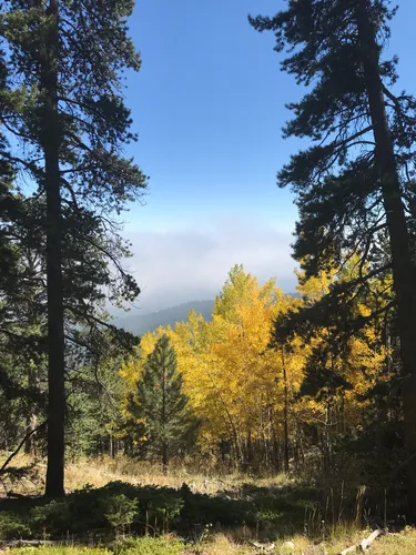 10 Best Trails and Hikes in Evergreen | AllTrails