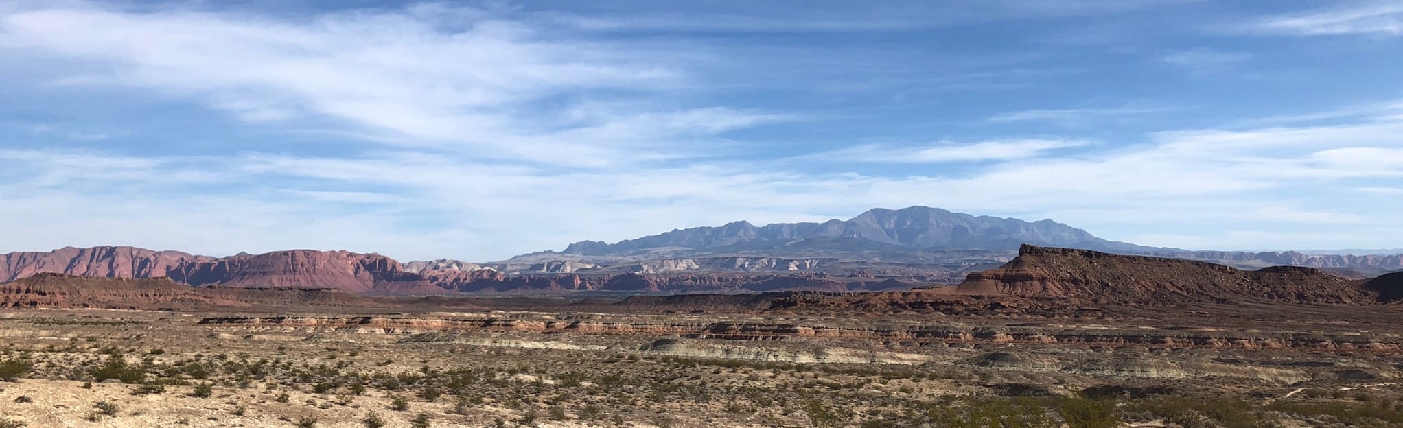 Bearclaw Poppy to Stucki Springs Loop: 81 Reviews, Map - Utah | AllTrails