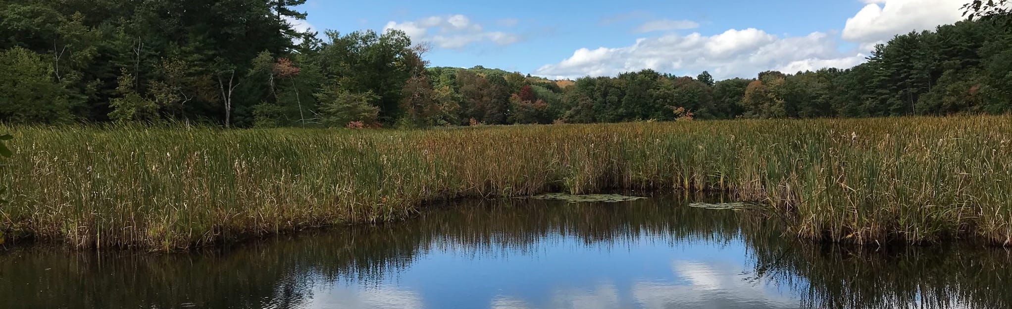 Haggetts Rail Trail to Haggetts Pond: 336 Reviews, Map - Massachusetts ...