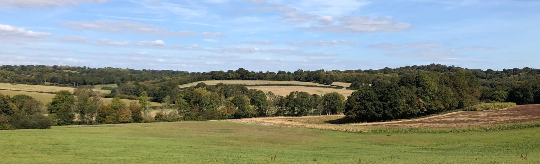 Sussex Border Path: The Moor Hawkhurst to Northiam, Kent, England - 4 ...
