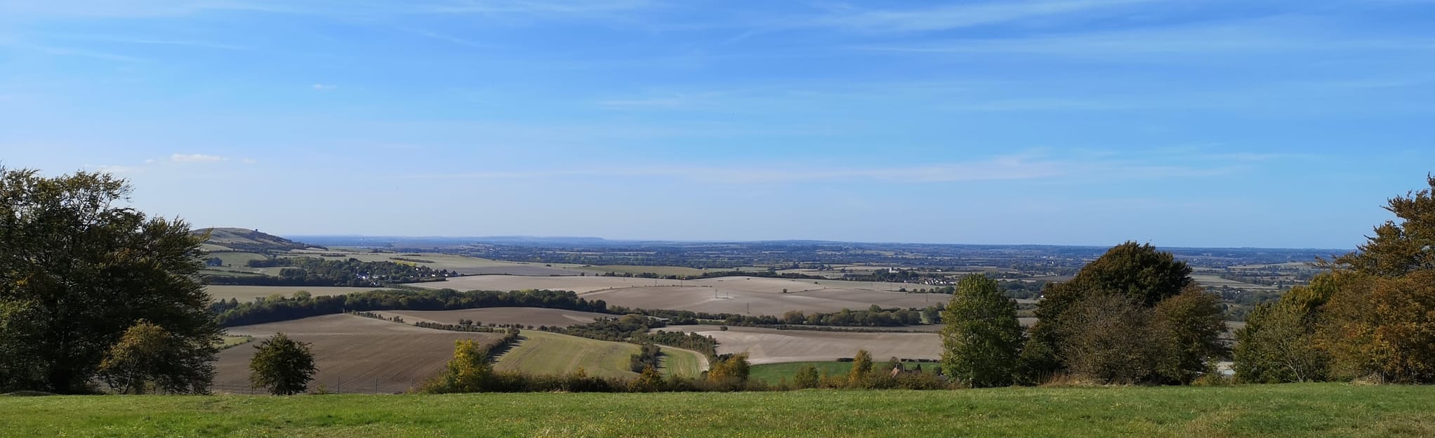 Whipsnade and Dunstable Downs Walk: 10 Reviews, Map - Bedfordshire ...