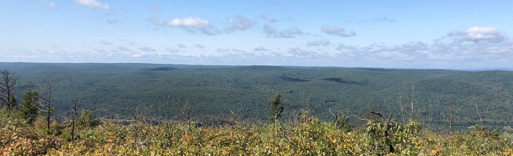 Shawangunk Ridge Trail From Wurtsboro Ridge State Forest | Map, Guide ...