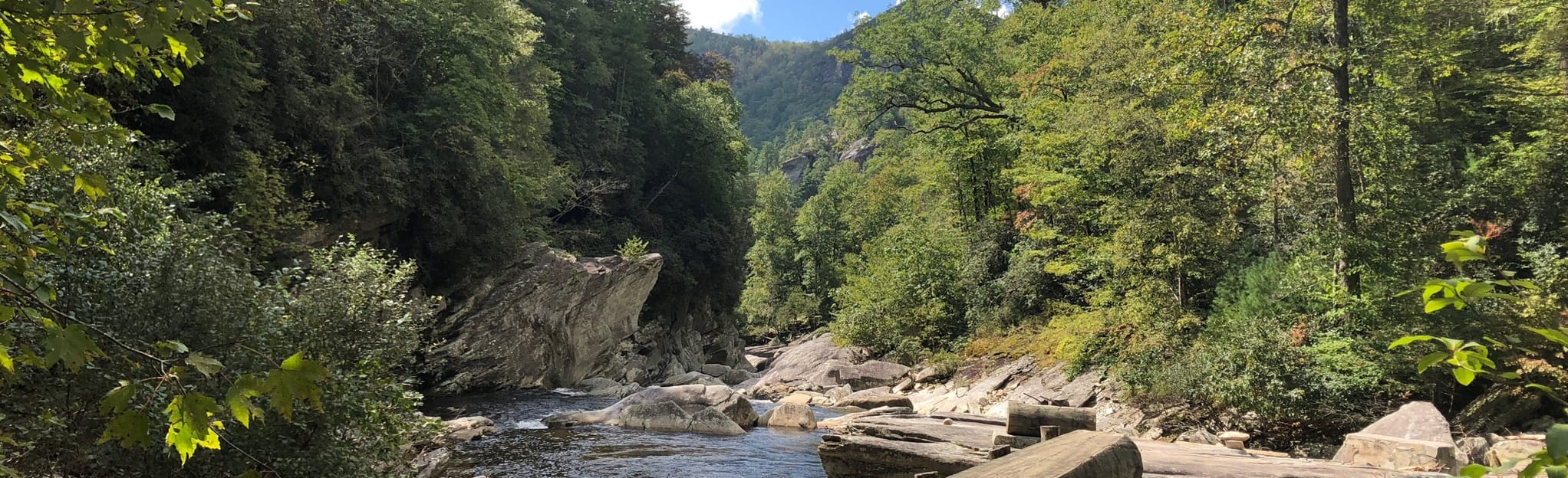 Spence Ridge Trail: 248 Reviews, Map - North Carolina | AllTrails