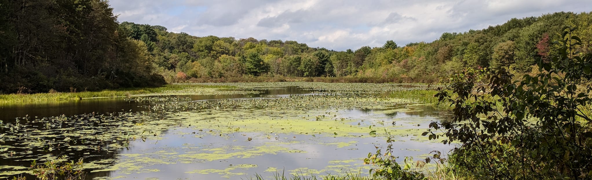 Deer Trail and Upper Deer Trail Loop, Pennsylvania - 219 Reviews, Map ...