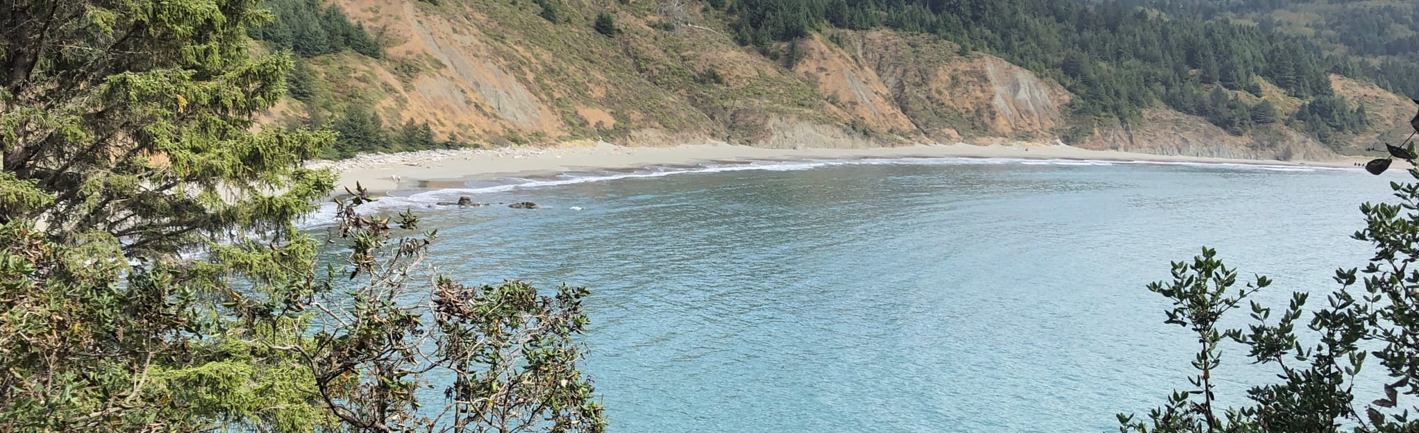 Cape Sebastian Trail: 607 Reviews, Map - Oregon | AllTrails