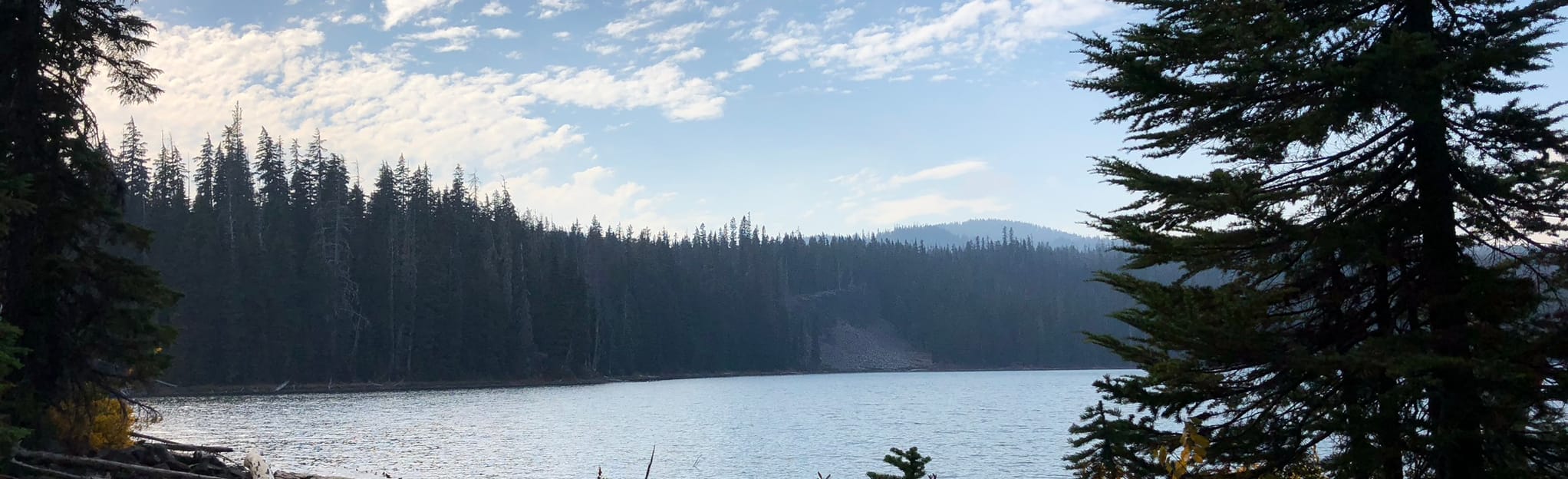 Mink Lake Loop Trail, Oregon - 50 Reviews, Map | AllTrails