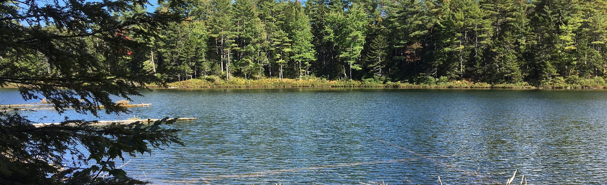Lovequist Loop, New Hampshire - 372 Reviews, Map | AllTrails