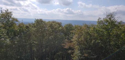 Best Hikes and Trails in Blue Knob State Park | AllTrails