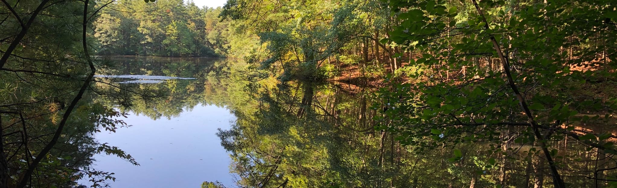 Walker Road Loop : 527 Fotos - Massachusetts | AllTrails