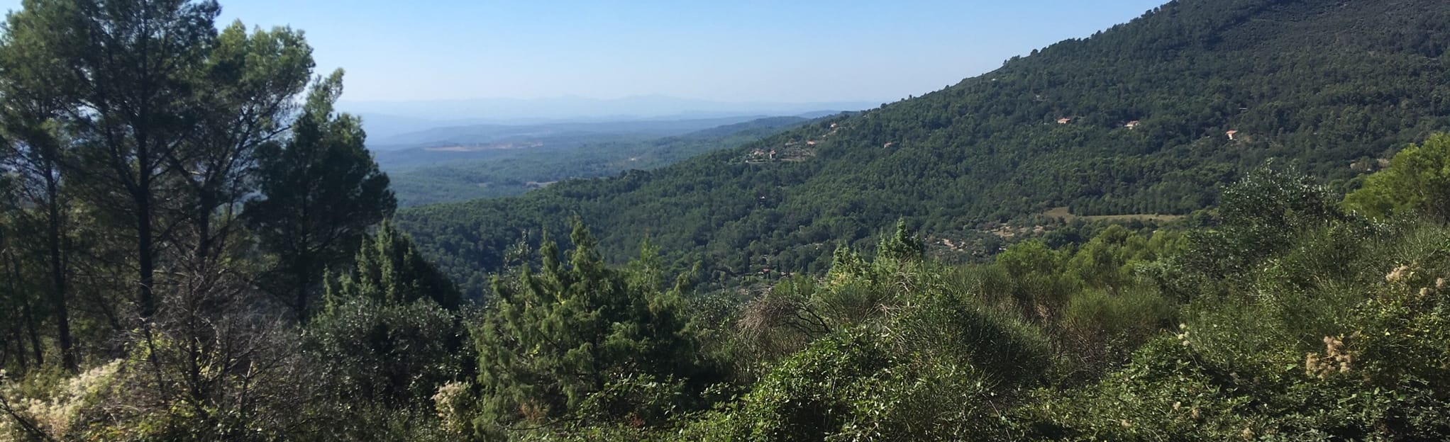 Seillans - Le Baguier - Le Bas Etang | Map, Guide - Var, France | AllTrails