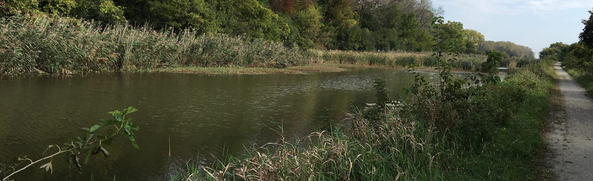 I & M Canal Trail: Brandon Road to Lower Rock Run Preserve, Illinois ...