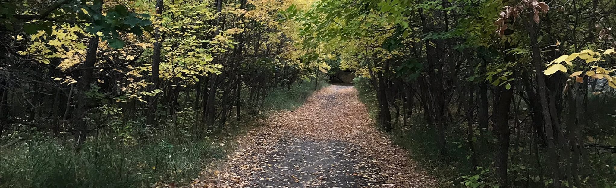 Bison Plant Trail, North Dakota - 244 Reviews, Map | AllTrails