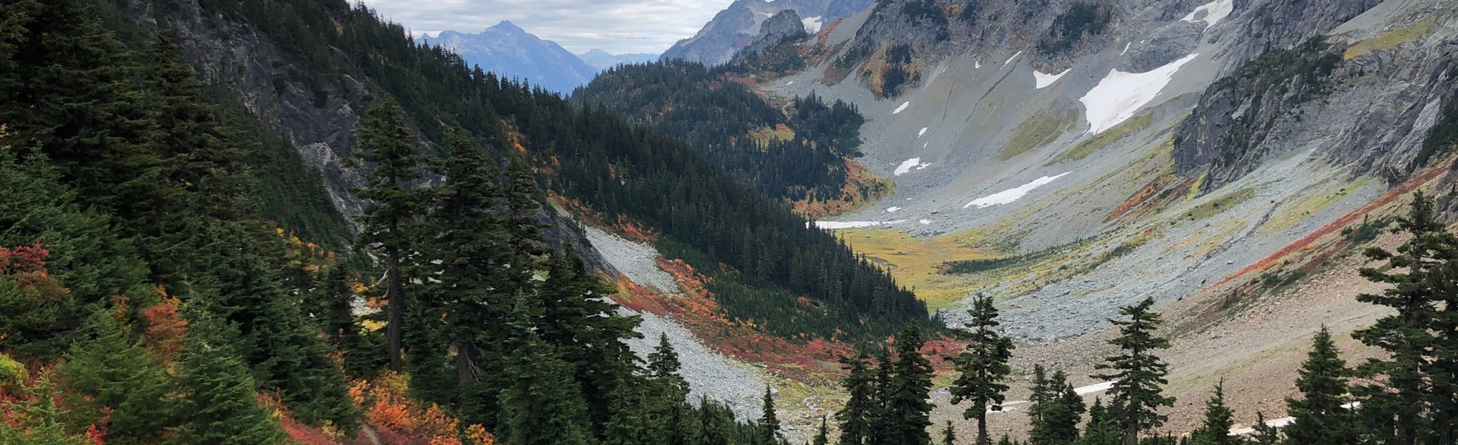 Cascade Pass Trail to Cottonwood Camp: 95 Reviews, Map - Washington ...