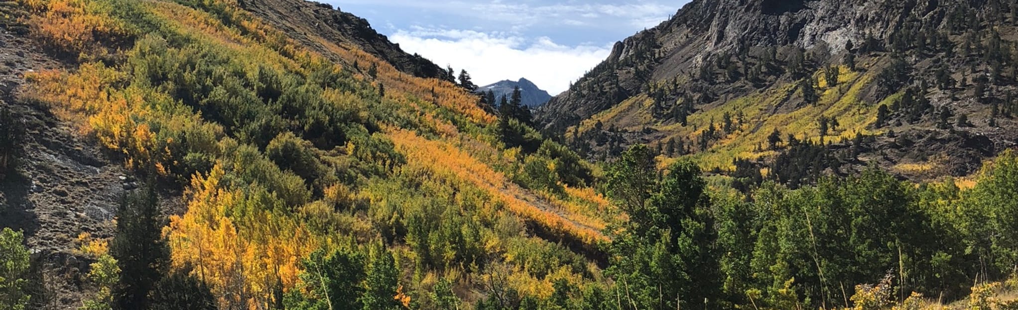 Tully Lake Trail: 4 Reviews, Map - California | AllTrails