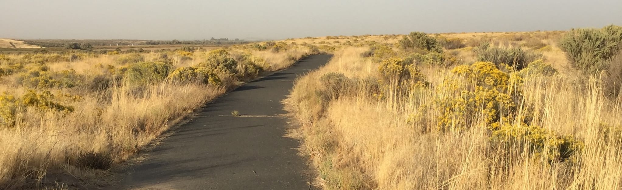 Echo Meadows Trail: 13 Reviews, Map - Oregon | AllTrails