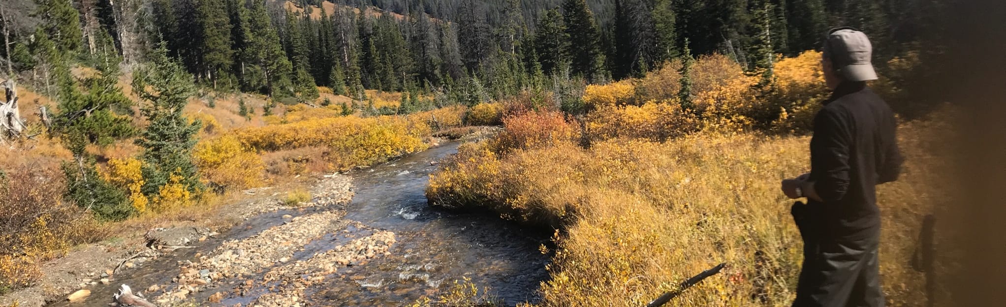 Lizard Lake via Lizard Creek Trail: 2 Reviews, Map - British Columbia ...